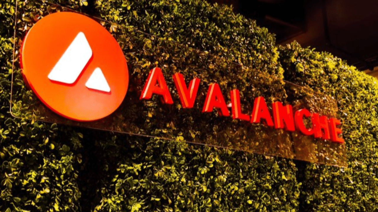 AVAX llega al nivel previo al colapso de FTX, el ecosistema explota 10 ...