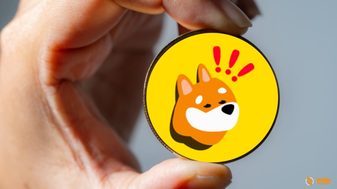 The potential 70% price increase of Bonk Inu listed below ...