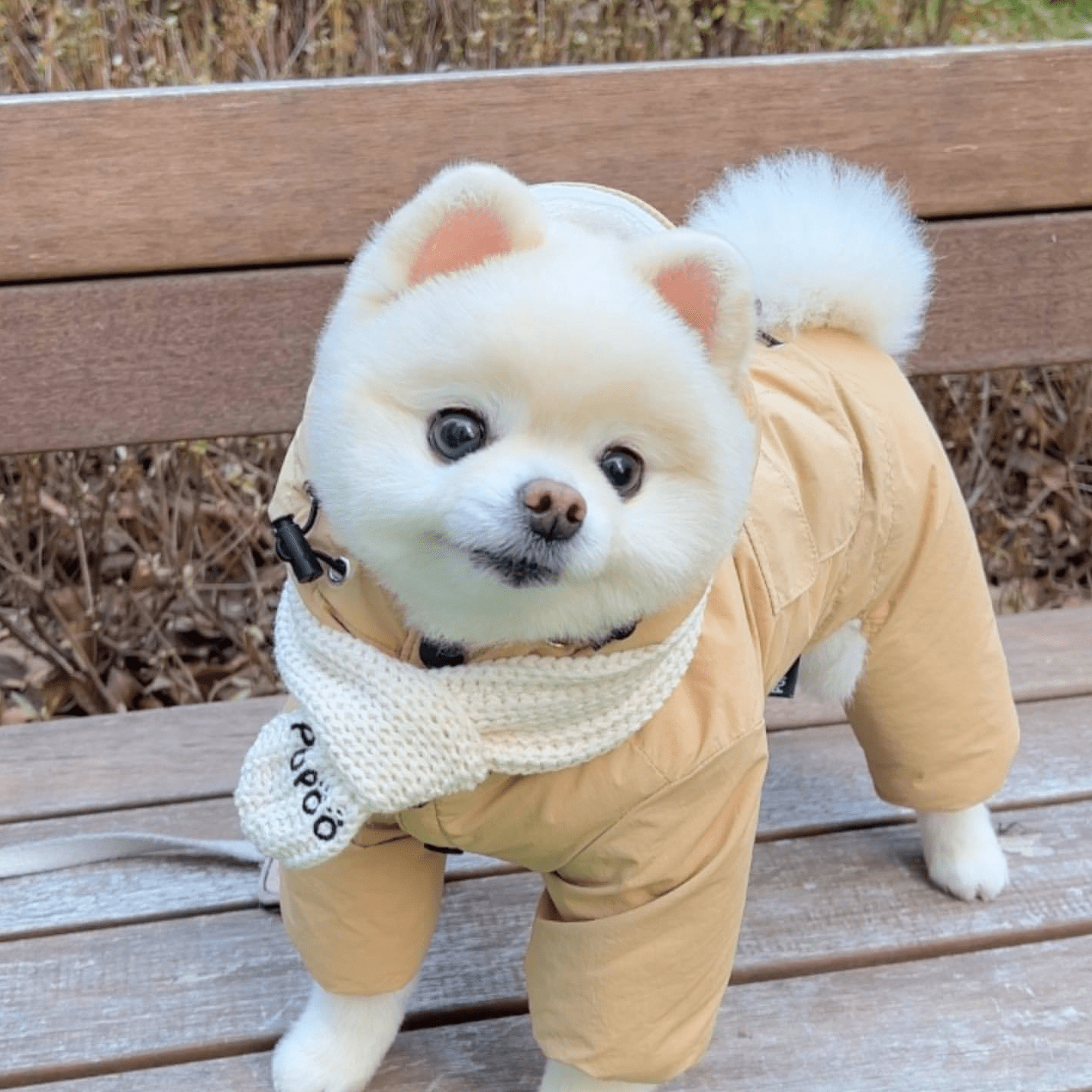 kâhin's Profile | Binance Square