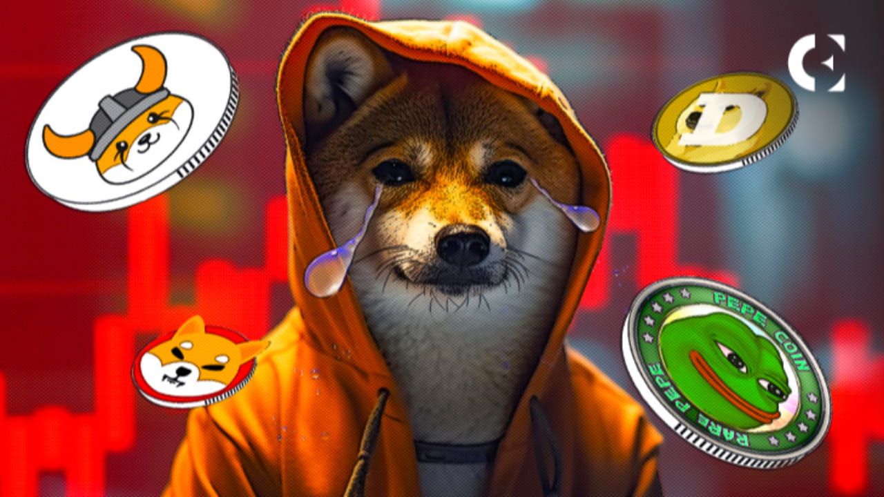 Smart Money Continues to Accumulate FLOKI, Pepe, and Meme Magnates ...