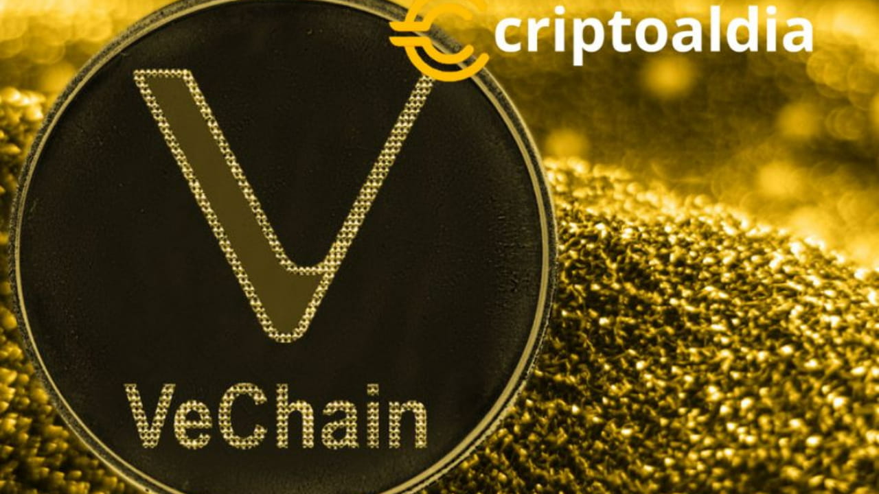 VeChain VET Breaks Barriers and Breaks Epic Mark of 900,000 Holders ...