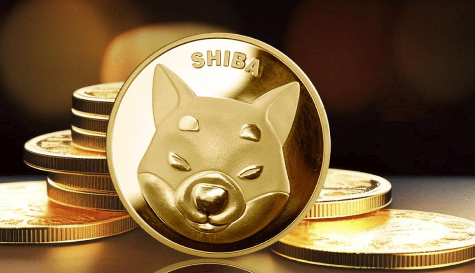 Top 10 SHIB Wallets Revealed, Here's Who Holds Biggest Shiba | Crypto ...