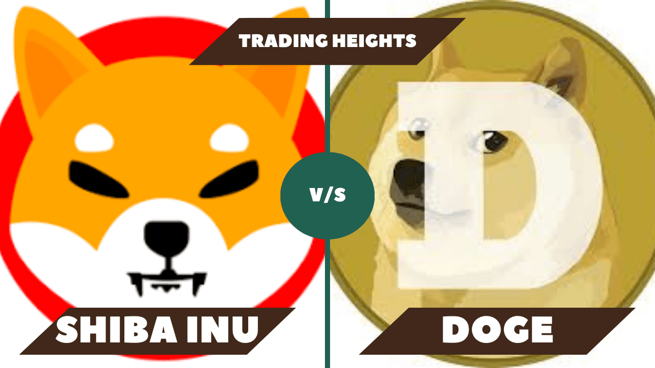 A Comparative Analysis of Shiba Inu and Dogecoin's Race to $1 | Trading Heights on Binance Square