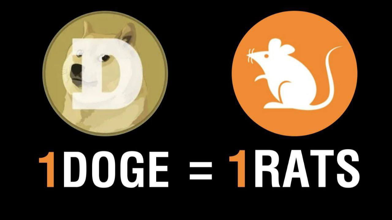 RATS up 85% Inscription Market Overview Strong performance in the past ...