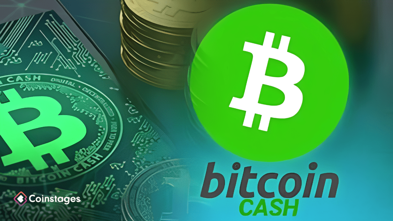 How to Buy Bitcoin Cash (BCH) Guide – Binance