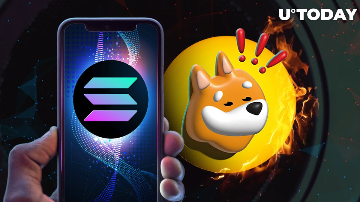 Solana’s BONK Plunges 40%, Can Santa Fest Spark a Revival? | Learn_With ...