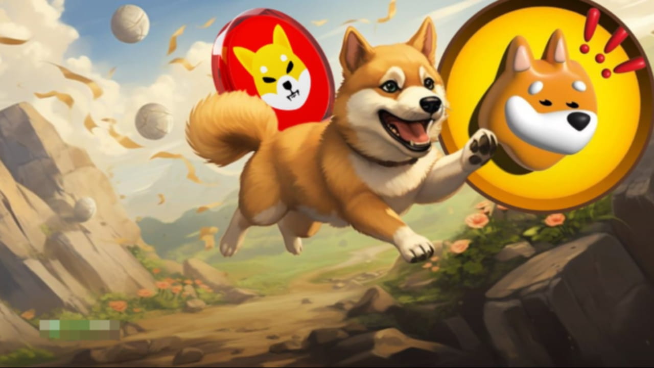 How far can Shiba Inu (SHIB) and Bonk (BONK) go before the end of the ...