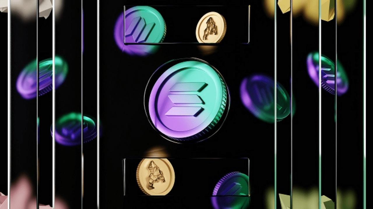 The SOL market is hot and continues to rise! BONK becomes the third largest meme coin by market ...