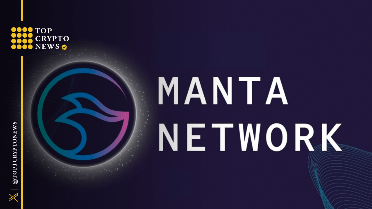 Manta Network hit with now resolved DDoS attack | TopCryptoNews on ...
