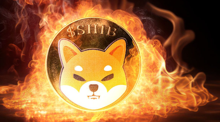 SHIB on Fire as Burn Rate Skyrockets 4,907%, Shiba Inu Price | Crypto Web3 Today on Binance Square
