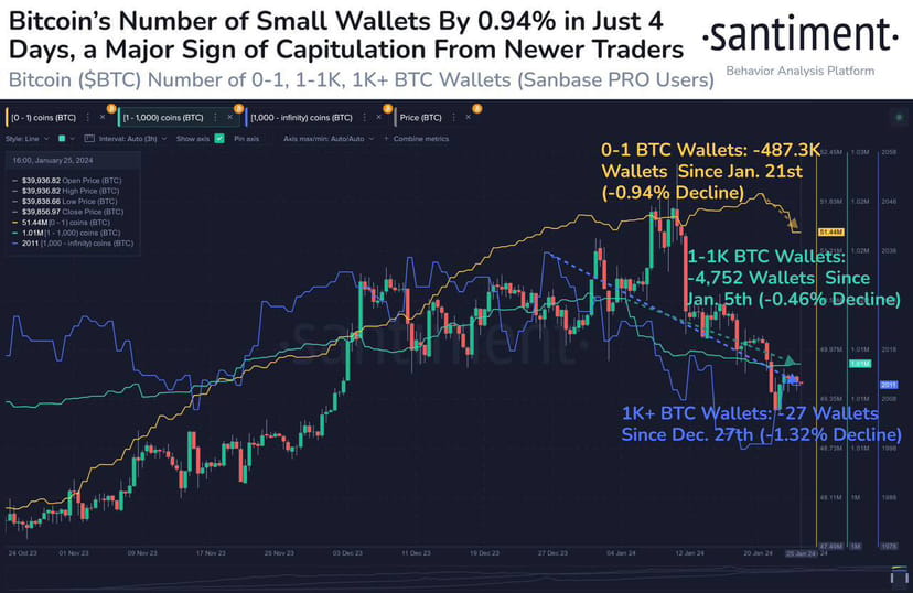 The number of total BTC wallets is declining at the fastest ...