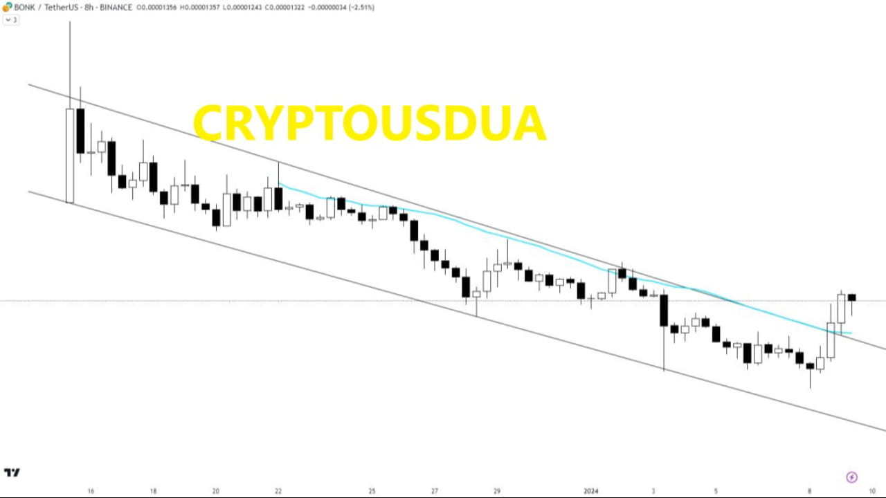BONK/USDT: Trend Analysis and Growth Prospects | CRYPTOUSDUA on Binance Square