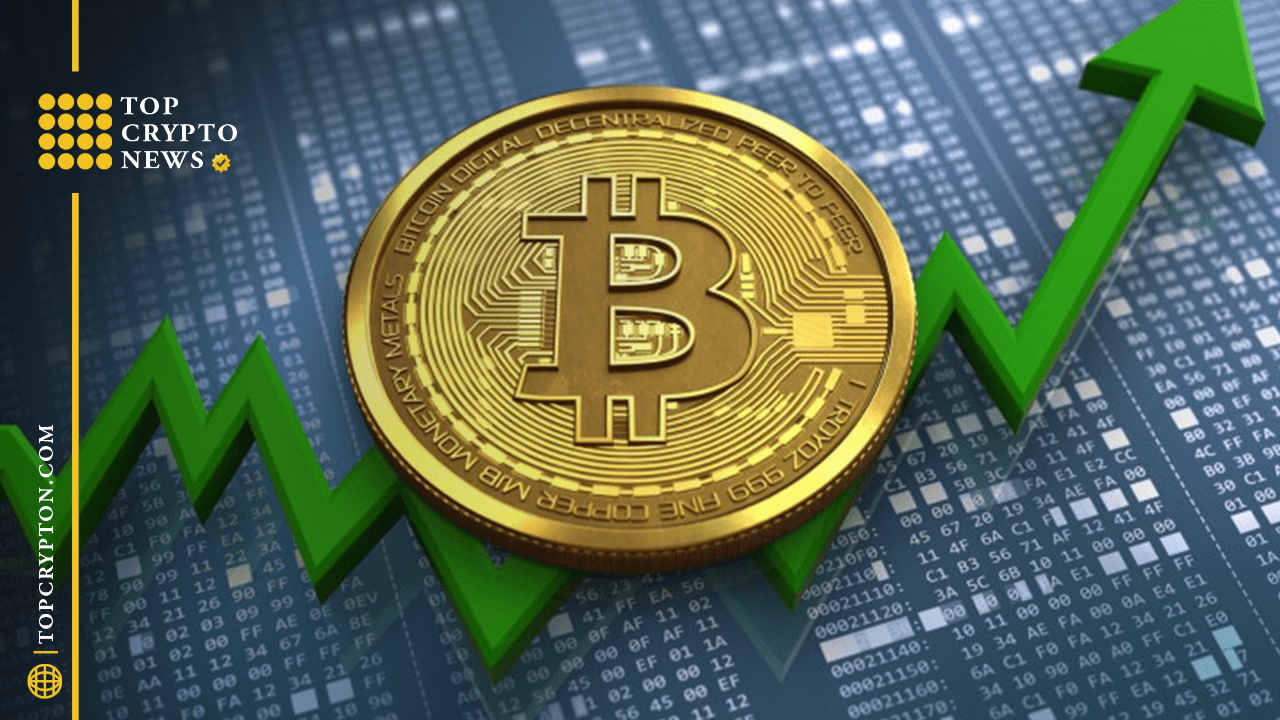 Surprising Prediction for Bitcoin from Ark Invest's Former Analyst ...