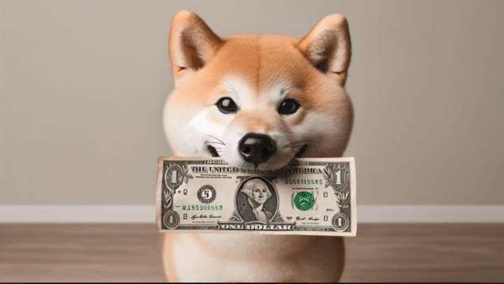 why we miss the chance, any body have say solution take the | Muhammad ...