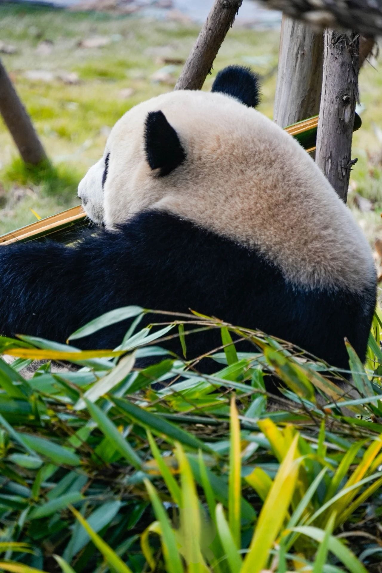 Hoarding money is the right way, everything else is crooked. | 闻到12W ...