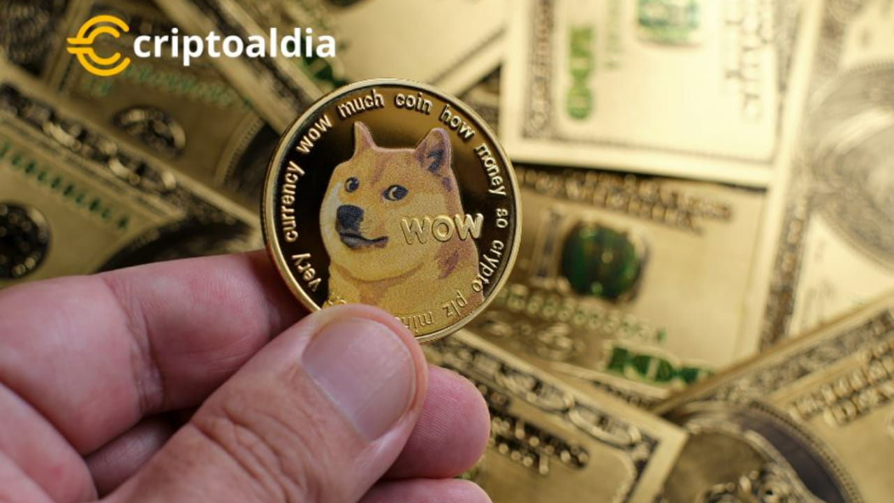Dogecoin transfer sparks speculation | Criptoaldia on Binance Square
