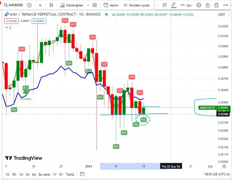ANKR COIN INPUT WITH 2450 3X SWINGAL INSERT WITH 2405 9X ...