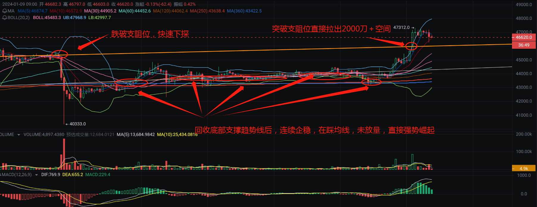 [Suddenly, a spring breeze came overnight. The assets of 78, | 独领风骚必暴富 ...