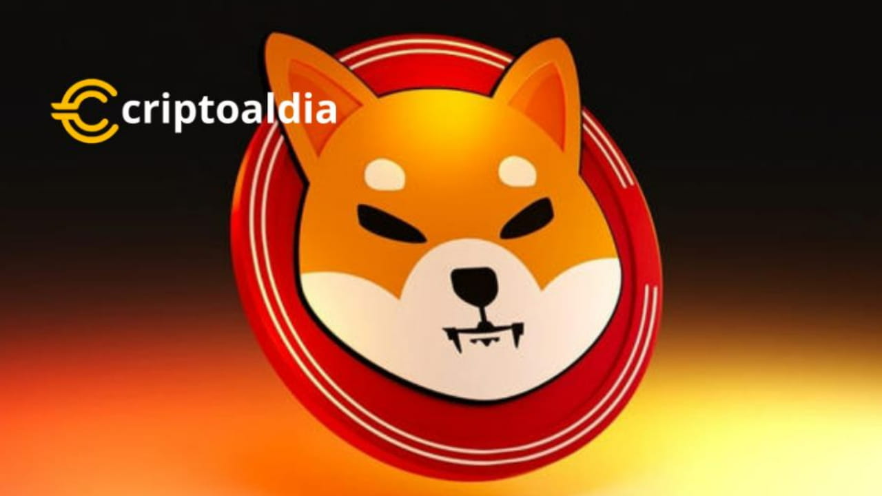 Shiba Inu's dynamic burn rate continues to rise | Criptoaldia on ...