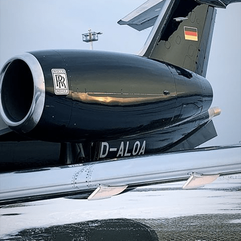 ملف Daniel Cosme الشخصي | Binance Square