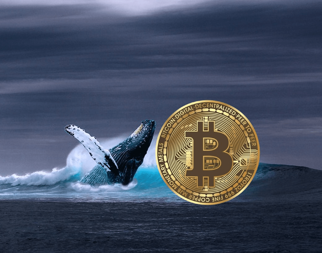 💰 Whale Alert! $78M Profit Scored as 3.1K BTC Hits Binance | DEFIDRAFT on Binance Square