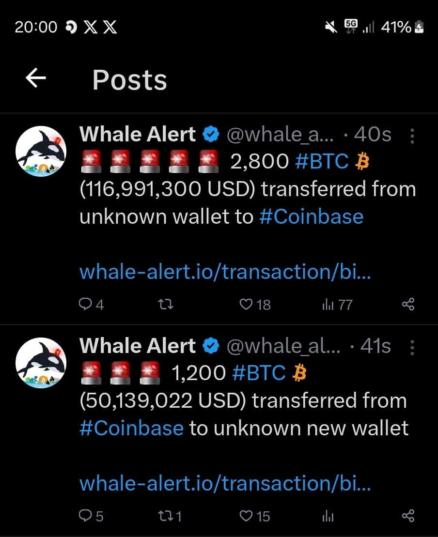 #Whale.Alert !!!! #Bitcoins now starting to move back into e | RiggedFish on Binance Square