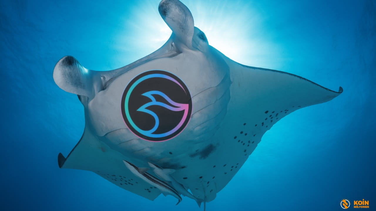 MANTA Price Decreases by 5% as Global Investors Flocked to New Cloud ...