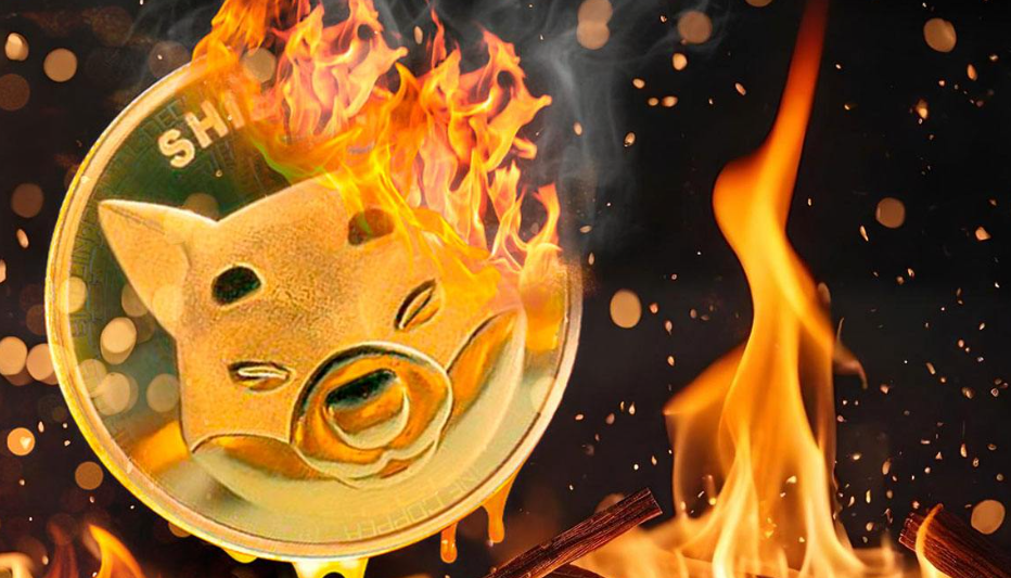 Shiba Inu (SHIB) Burn Rate Skyrockets 2,900%; How Will Price | Crypto Web3 Today on Binance Square