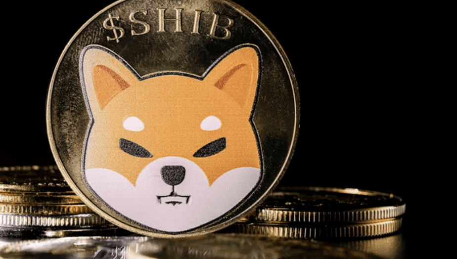 Massive Shiba Inu (SHIB) Whale Transfers $38M - But Where? | Crypto Web3 Today on Binance Square