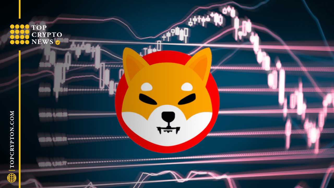 Shiba Inu: Here Are 4 Factors That Could Trigger SHIB Bull Rally | TopCryptoNews on Binance Square