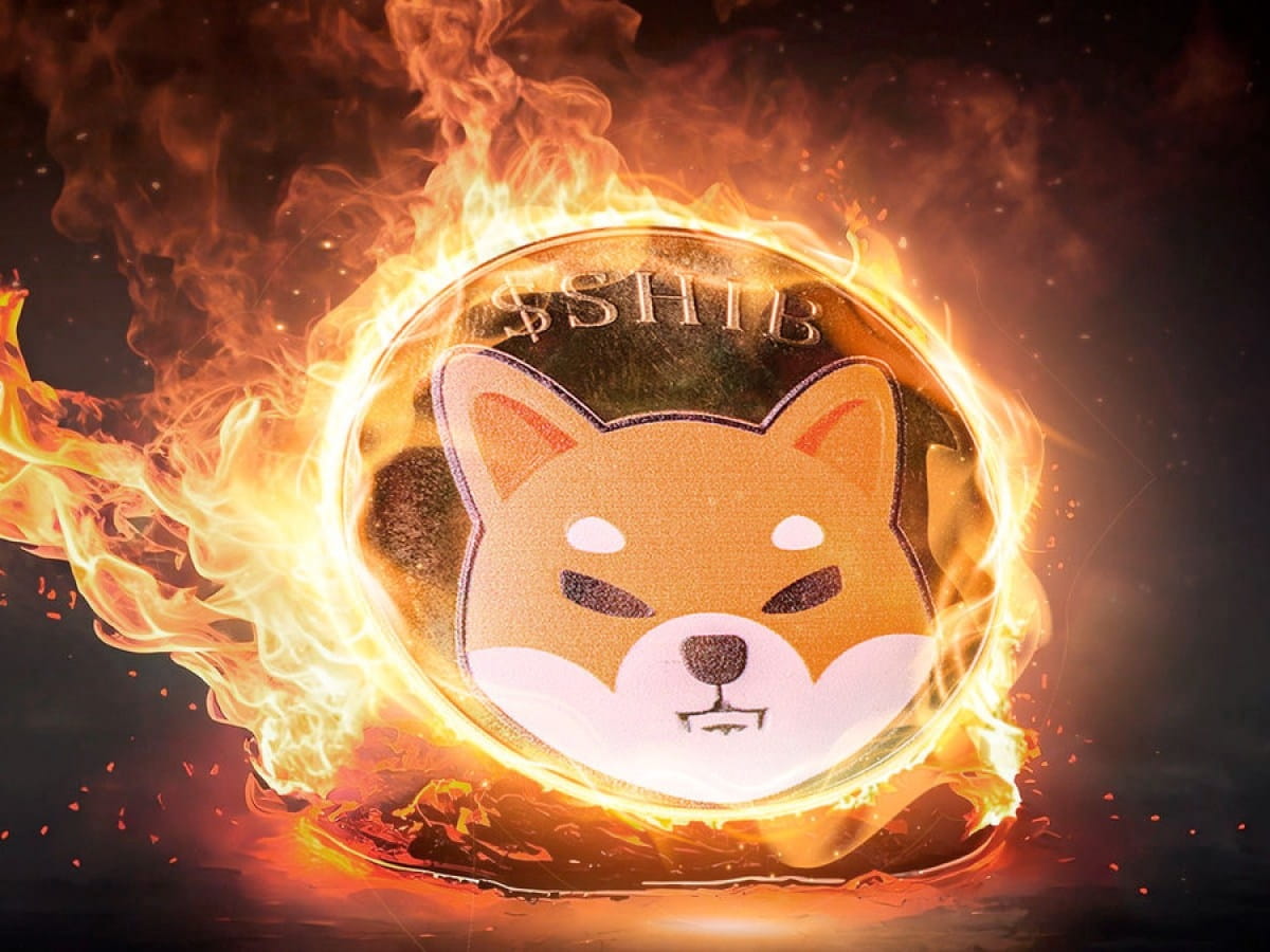 Shiba Inu (SHIB): Embracing Web3 And Expanding Digital Ident | Crypto ...