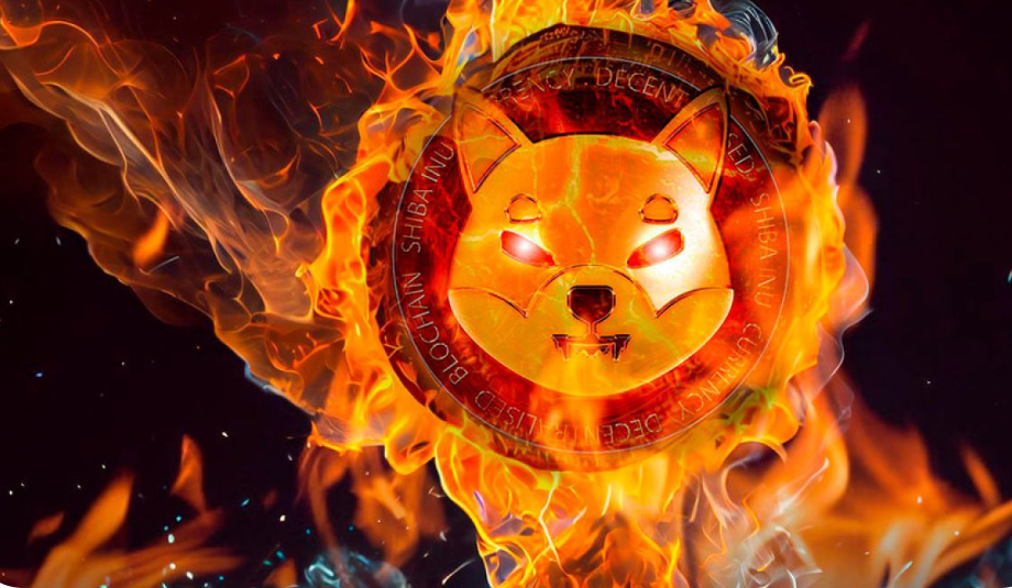 Shiba Inu (SHIB) Burn Rate Jumps 1,530% in Epic Market Turna | Crypto ...