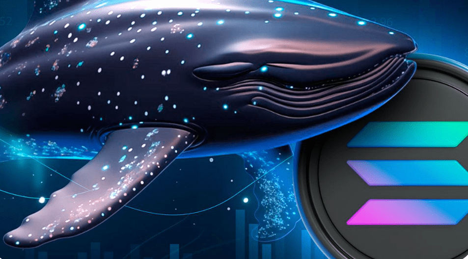 Solana (SOL) Whales Move $82 Million to Unknown Wallets as P | Crypto Web3 Today on Binance Square