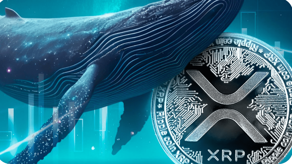 XRP Witnesses Unusual $10 Million Whale Activity. Today, th | Crypto Web3 Today on Binance Square
