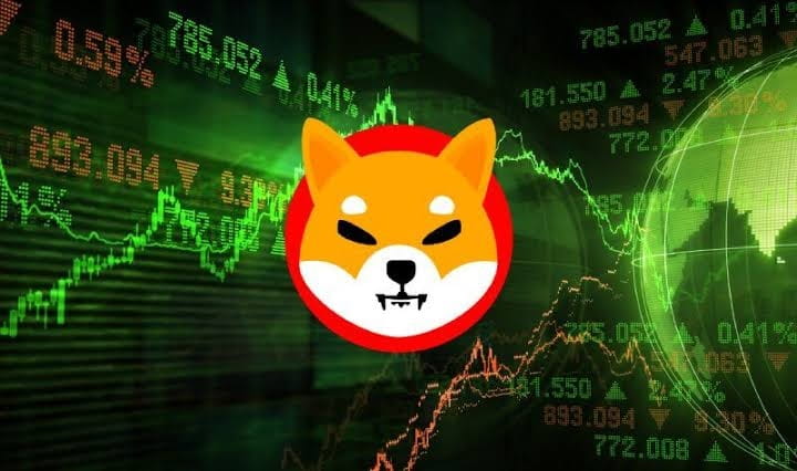 🔥👀Shiba Inu: These SHIB Investors Made Over $1 Million, He | Crypto Ahmet on Binance Square
