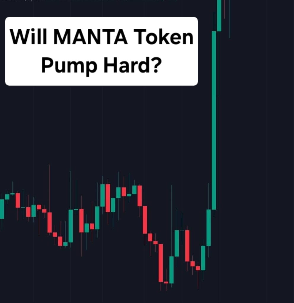 💱 MANTA Token Price Prediction for 2024 📈 🔆As cryptocurr | Mastering ...