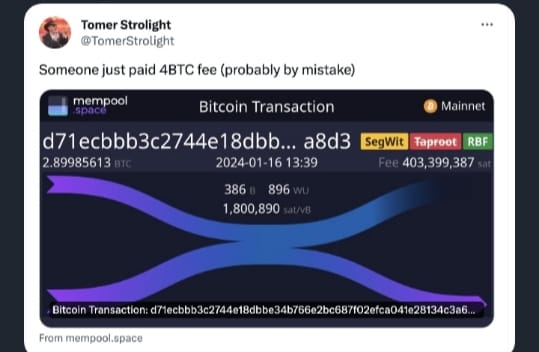 Someone Just Lost $174,000 In Transaction Fees To Transfer O ...