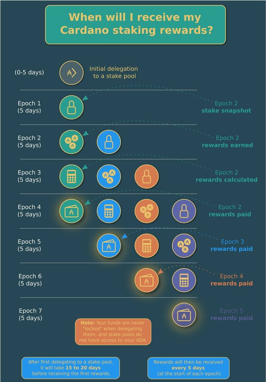 If you are staking for the first time on Cadarno wallet, it ...
