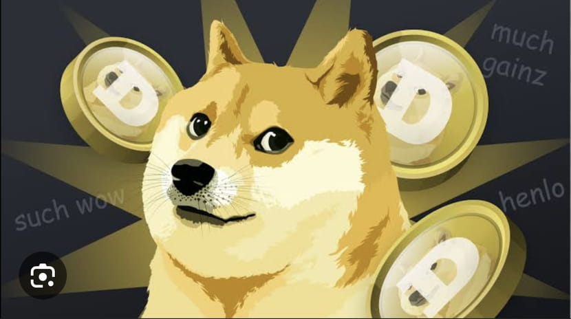What do you think will happen to $DOGE? No news from Elon Mu | Crypto ...