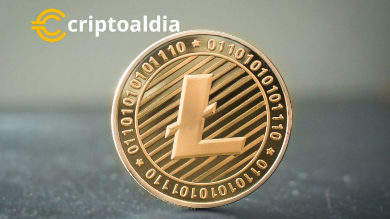 The Potential of Litecoin to Reach Your Financial Goals | Trading Facil ...