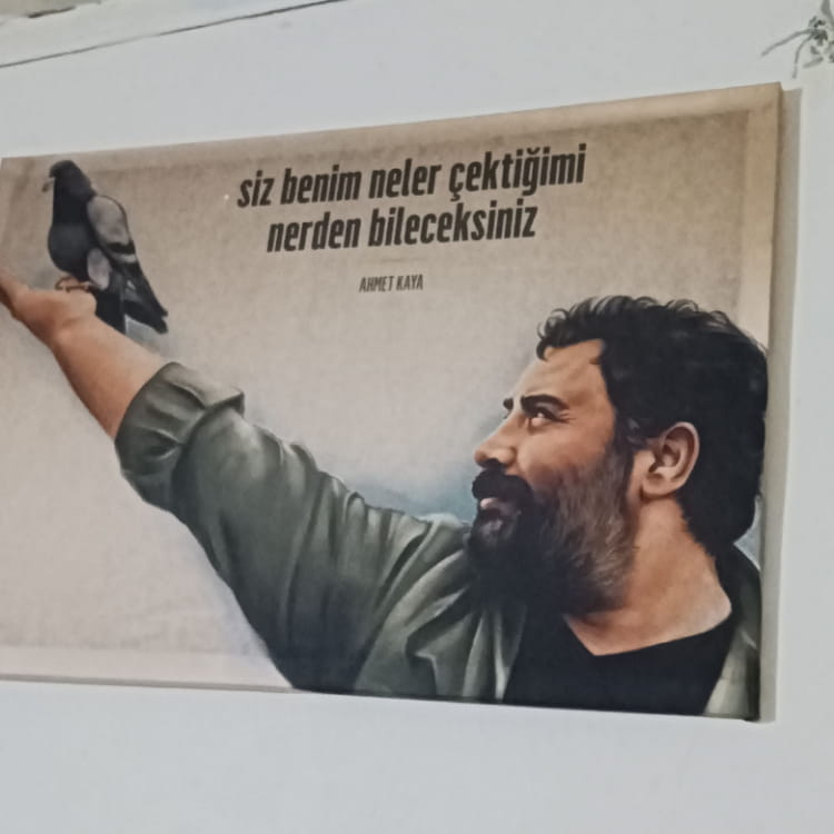 Tamerr's Profile | Binance Square