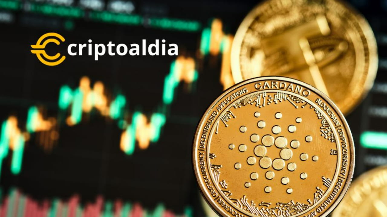 Current Cardano Price May Be Lower Than Its All-Time High | Trading ...