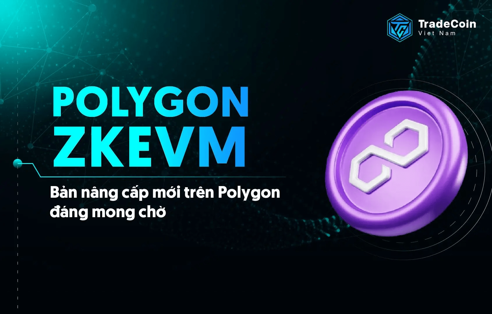 🟪 Polygon zkEVM ready for Dencun upgrade, aiming for big fe | TradeCoin ...