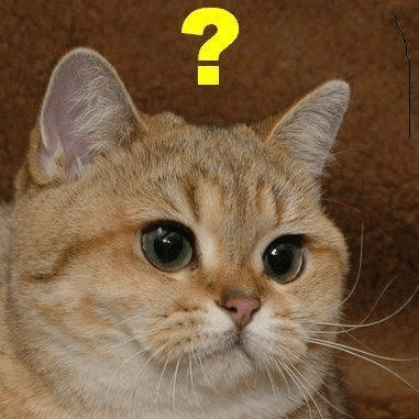 Perfil de Anonymous cat | Binance Square