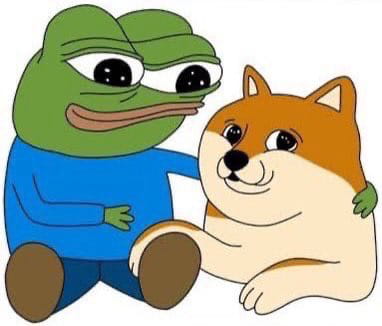 I like $DOGE most, it’s my first 10X coin. And $PEPE seems h | FROG ...