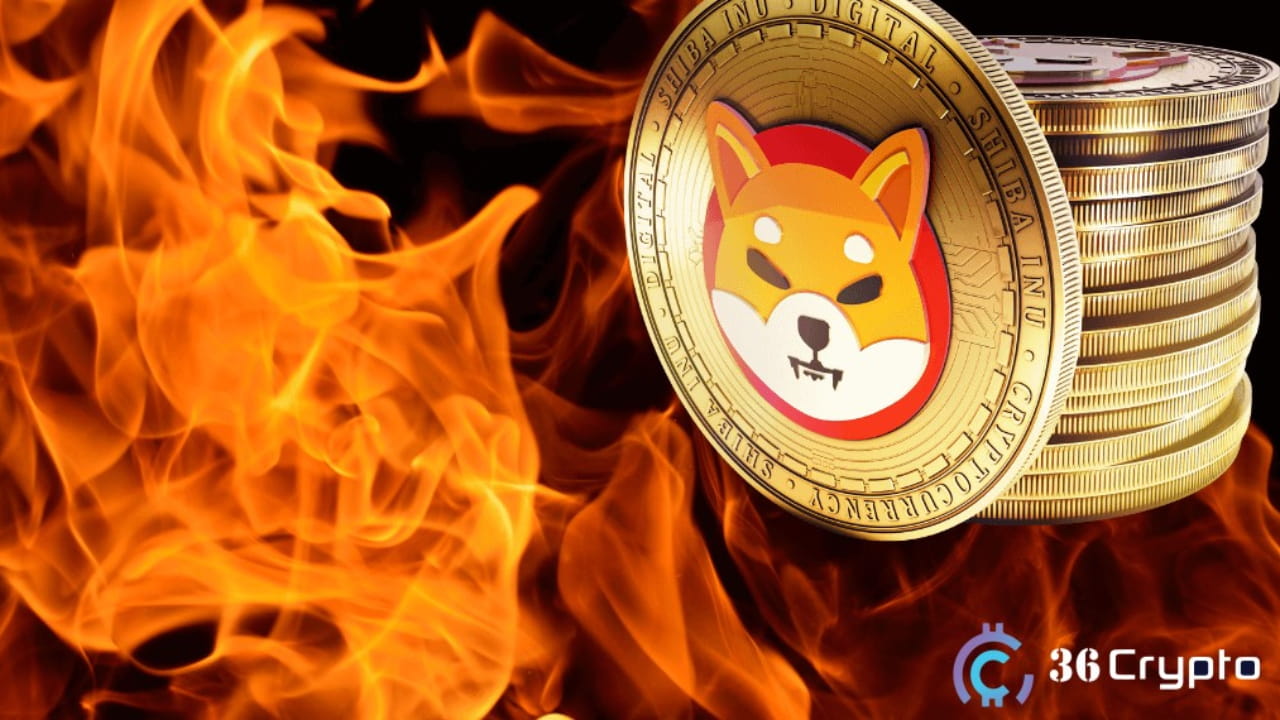 Over 9 Billion SHIB Tokens Burned in January, Burn Rate Surges | 36Crypto on Binance Square
