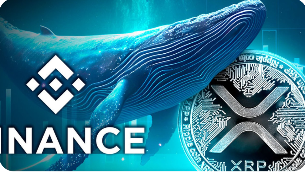 XRP Whale Shifts Millions of XRP Tokens to Binance, Here's W | Crypto ...