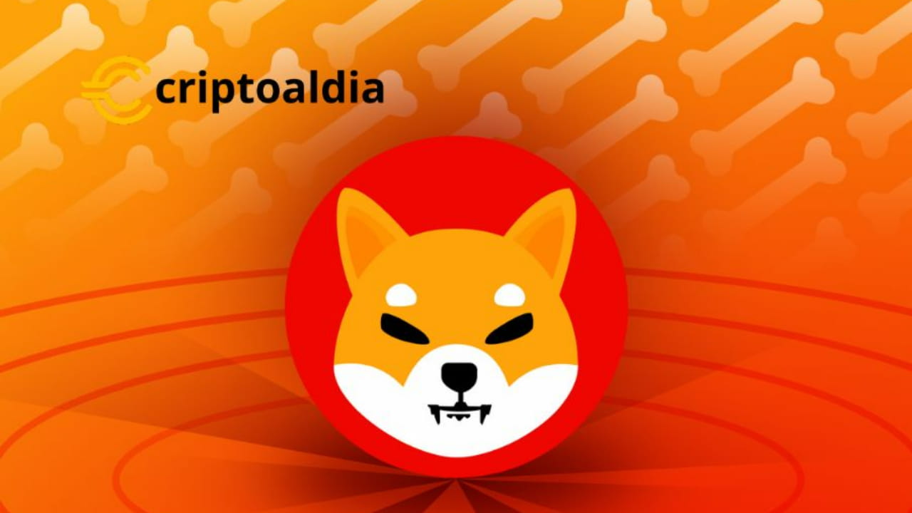 Shib and Zama: An Alliance for a More Secure Blockchain Future | Criptoaldia on Binance Square