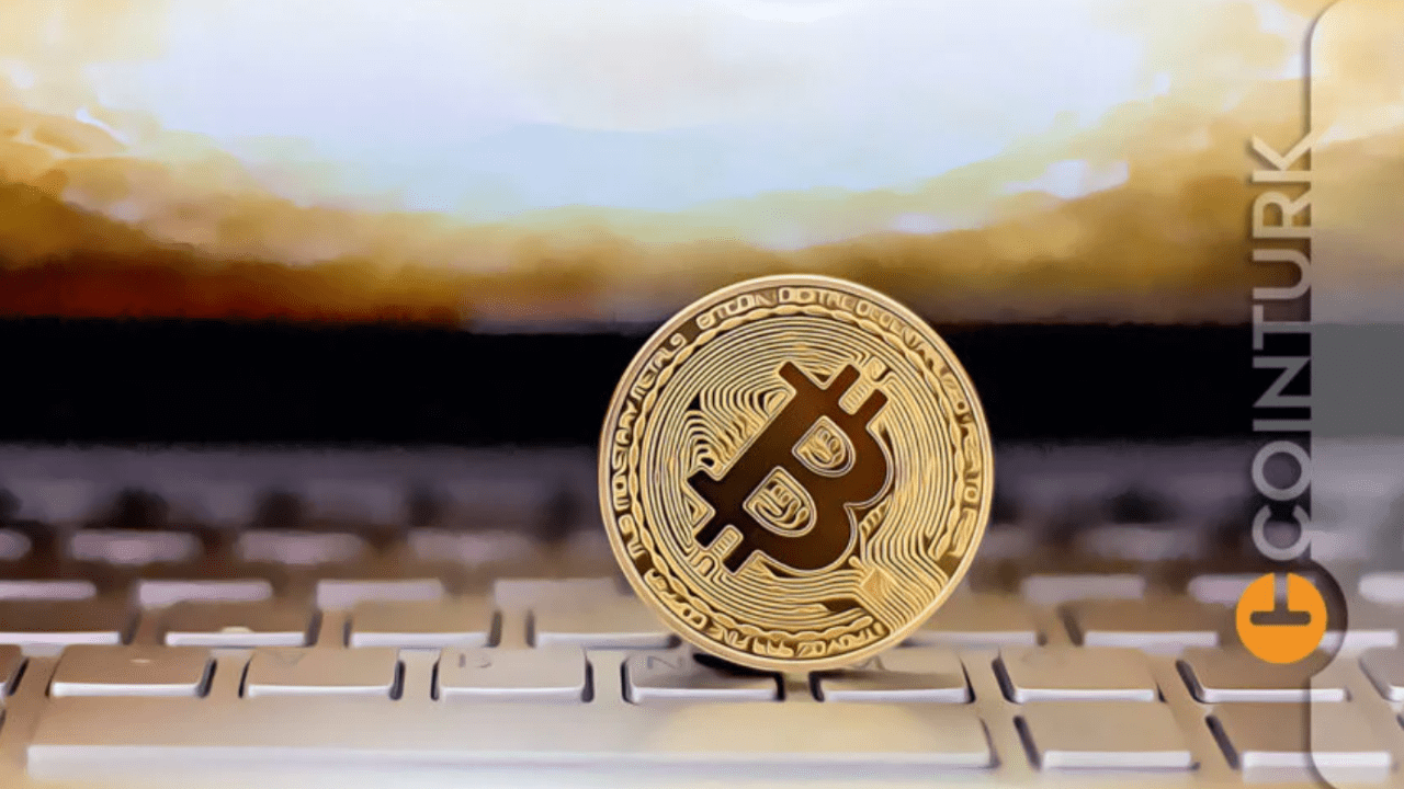 What to Expect for Bitcoin in the Future? BTC Made Its Mark in February ...