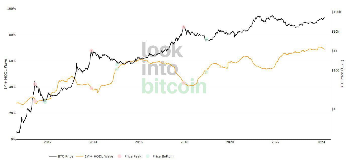 Just one line to understand the BTC cycle 🍸 The 1Y+ HODL | QYZMET on ...